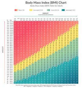 Body Mass Index Calculator